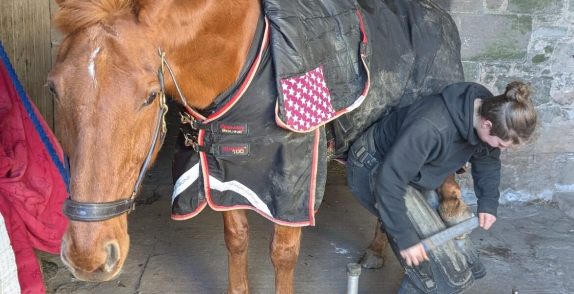 Postal Family Fund supports Jude's Farrier Apprenticeship - Postal ...